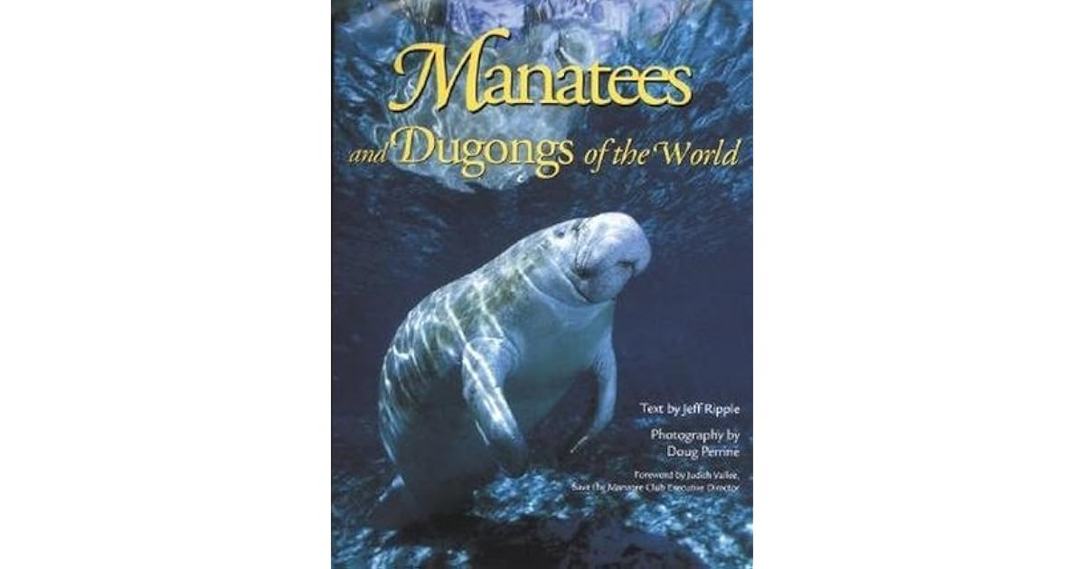 Manatees and Dugongs of the World by Jeff Ripple