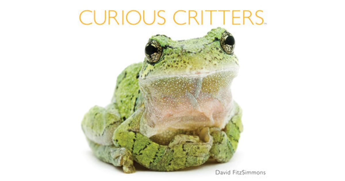 Curious Critters by David FitzSimmons