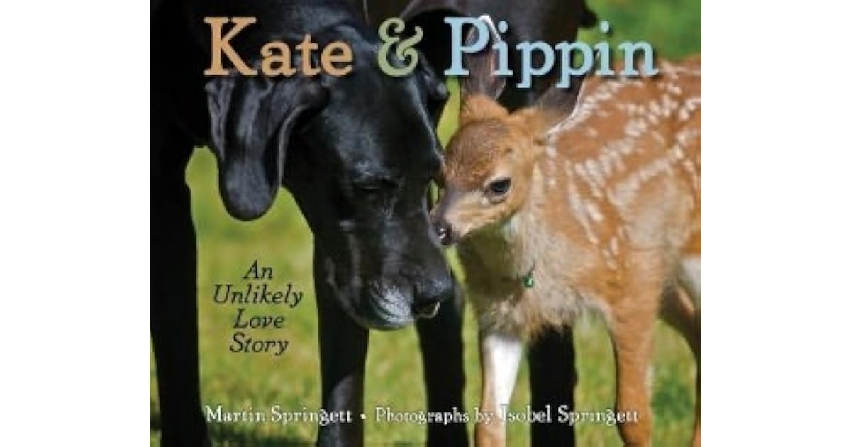Kate & Pippin: An Unlikely Love Story by Martin Springett