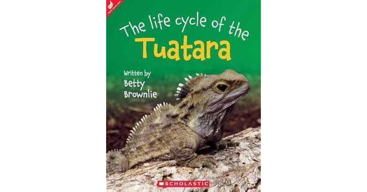 The Life Cycle of the Tuatara by Betty Brownlie