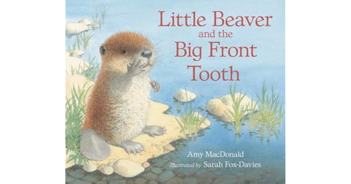 Little Beaver and the Big Front Tooth by Amy MacDonald