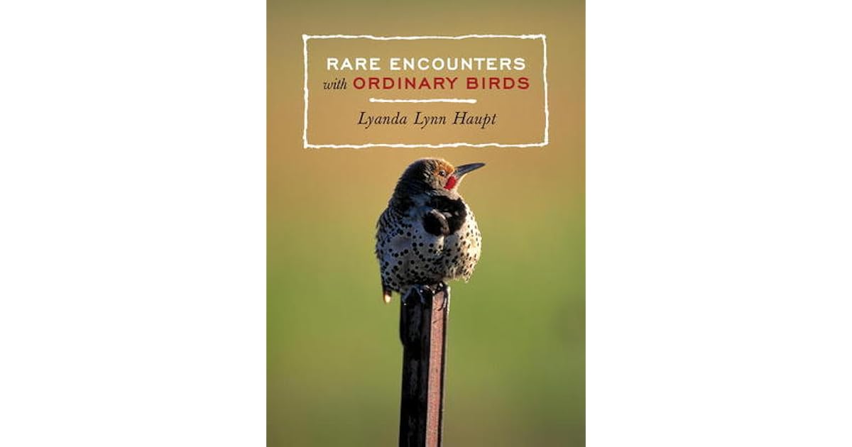 Rare Encounters with Ordinary Birds by Lyanda Lynn Haupt