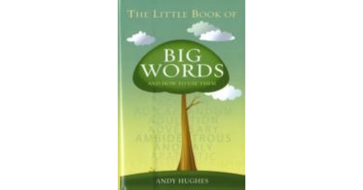 Little Book Of Big Words by Andy Hughes