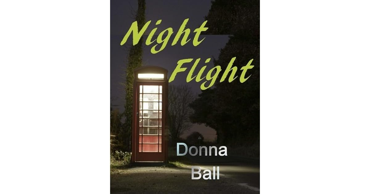 Night Flight by Donna Ball