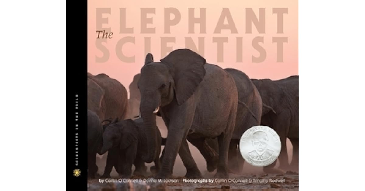 The Elephant Scientist by Caitlin O'Connell