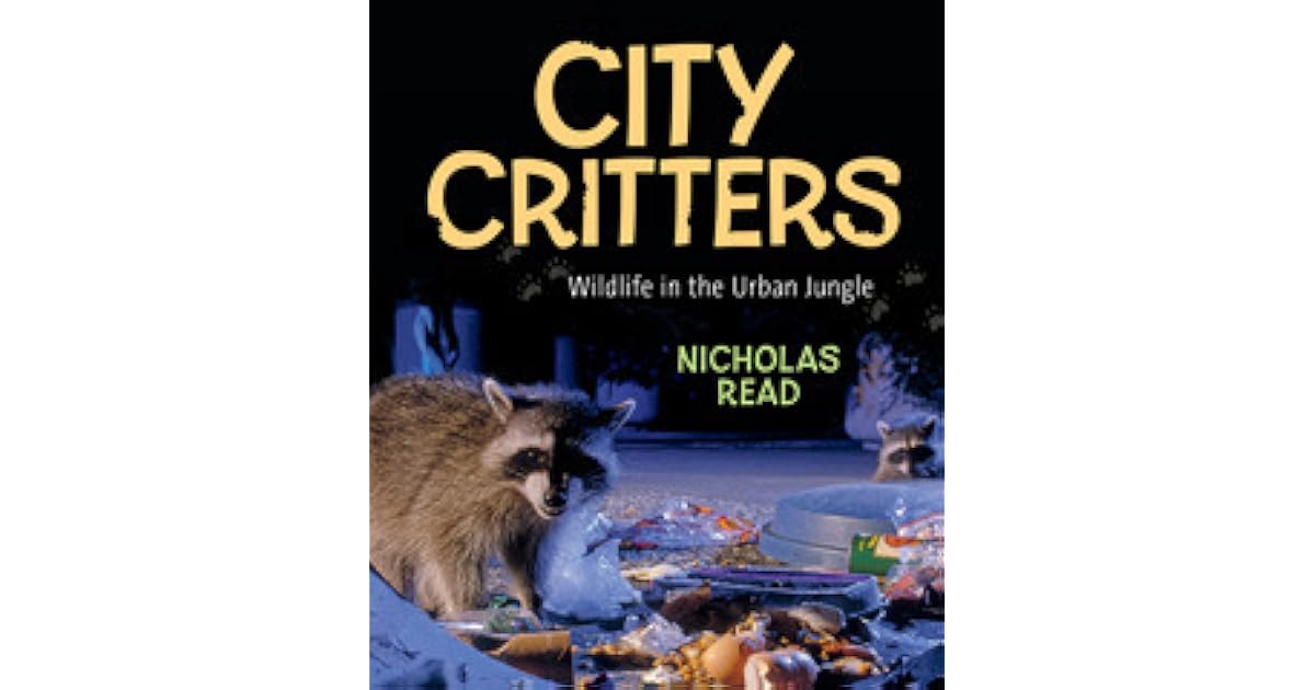 City Critters: Wildlife in the Urban Jungle by Nicholas Read