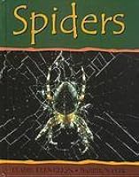 Spiders: Deadly Predators by Claire Llewellyn