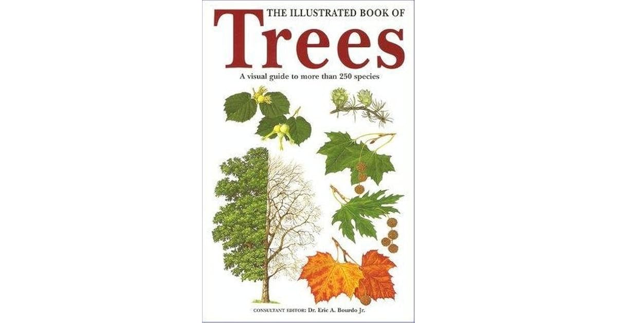 The Illustrated Book Of Trees by Eric A. Bourdo