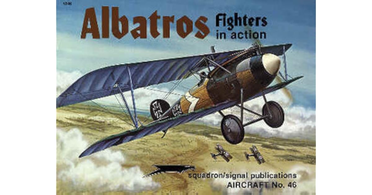 Albatross Fighters in Action by John F. Connors