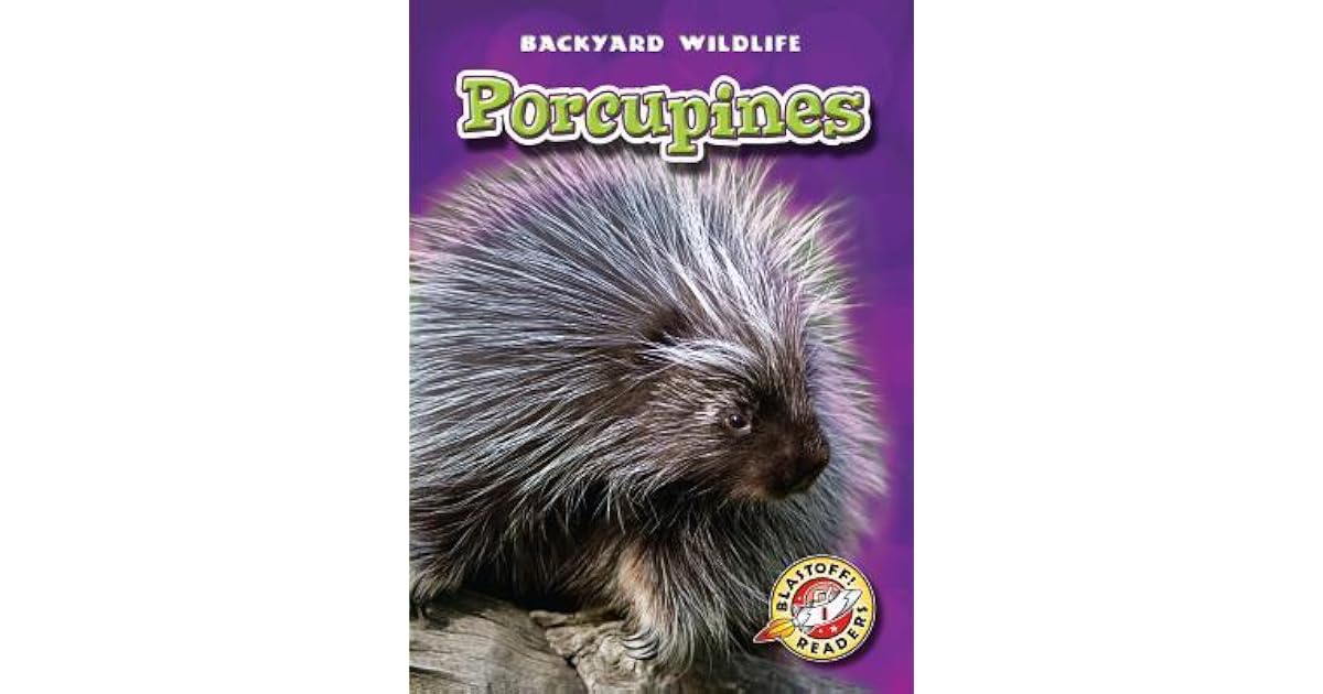 Porcupines by Emily K. Green