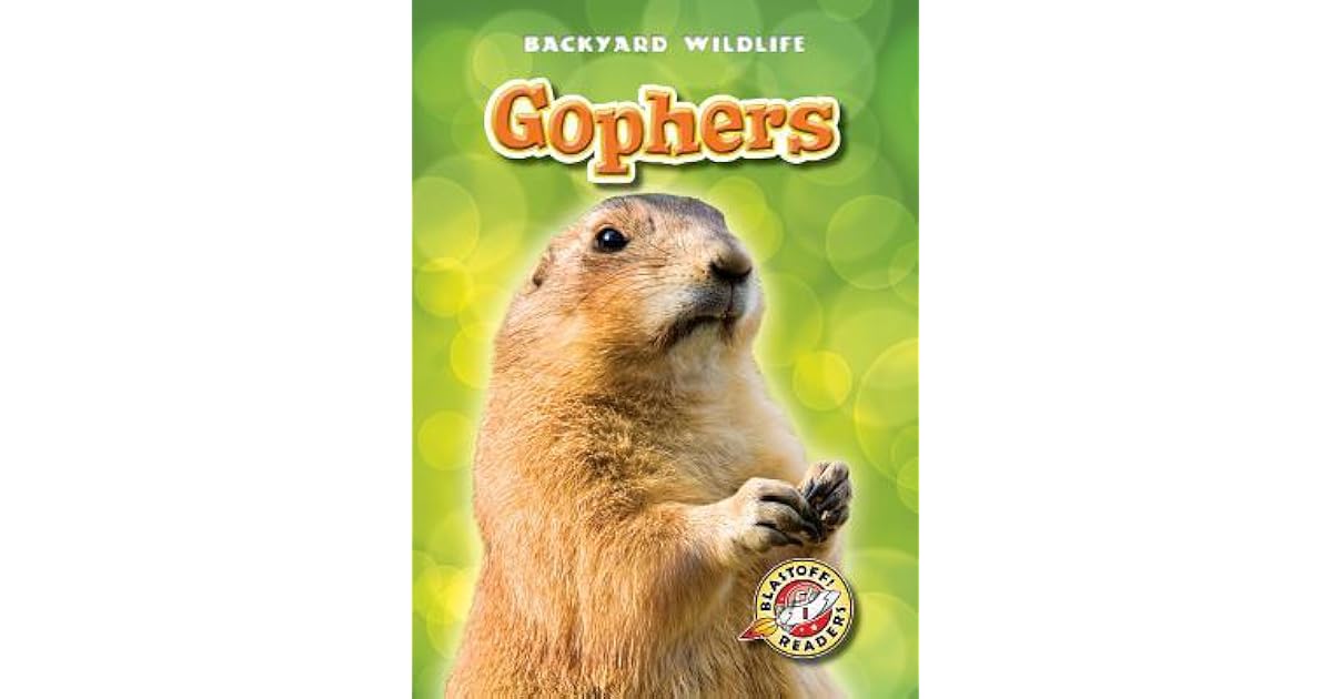 Gophers by Derek Zobel