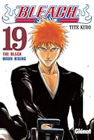 Bleach, Volume 19 by Tite Kubo