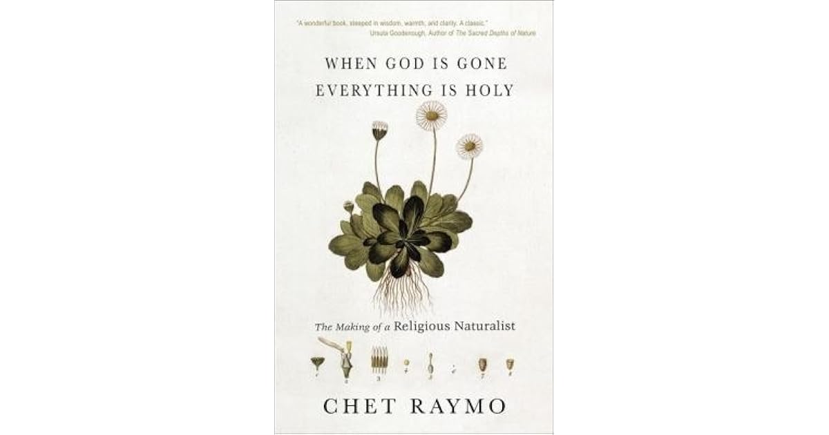 When God Is Gone, Everything Is Holy: The Making of a Religious ...