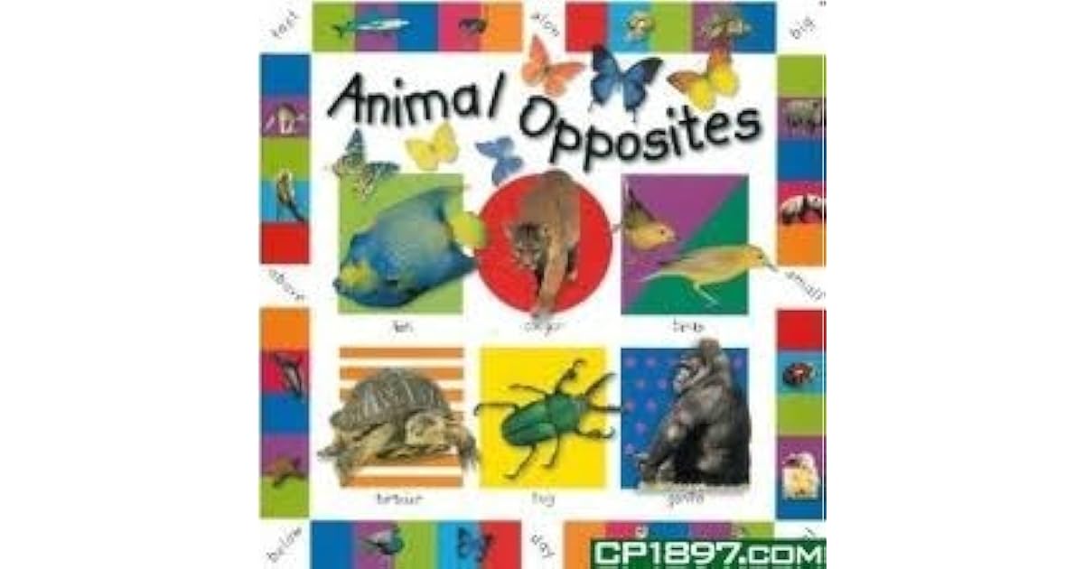 Animal Opposites by The Book Company