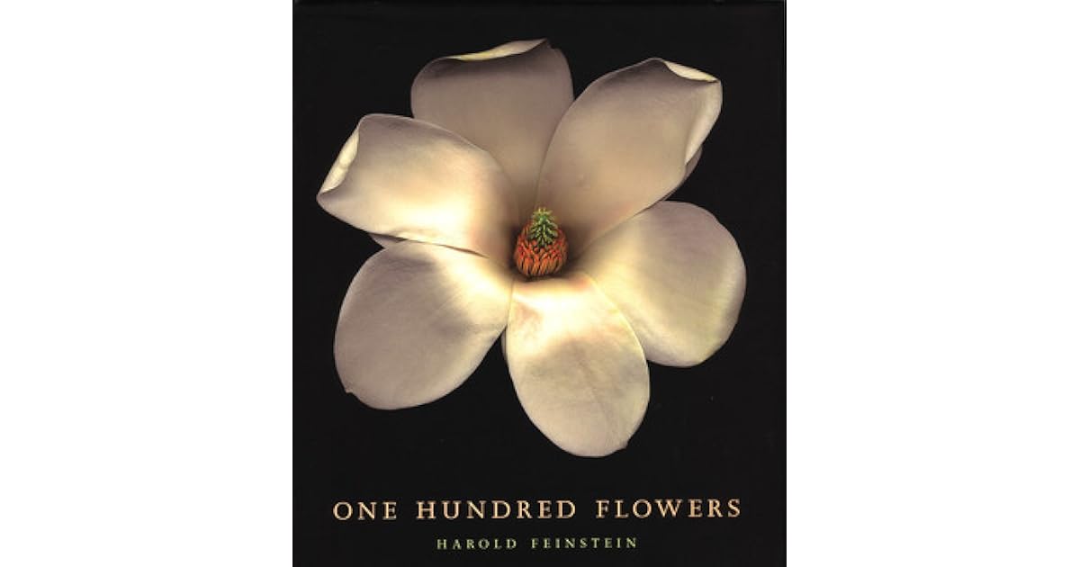 One Hundred Flowers by Harold Feinstein