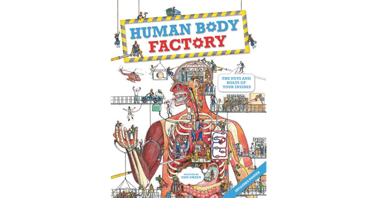 The Human Body Factory: The Nuts and Bolts of Your Insides by Dan Green
