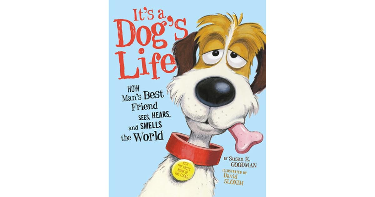 It's a Dog's Life: How Man's Best Friend Sees, Hears, and Smells the ...