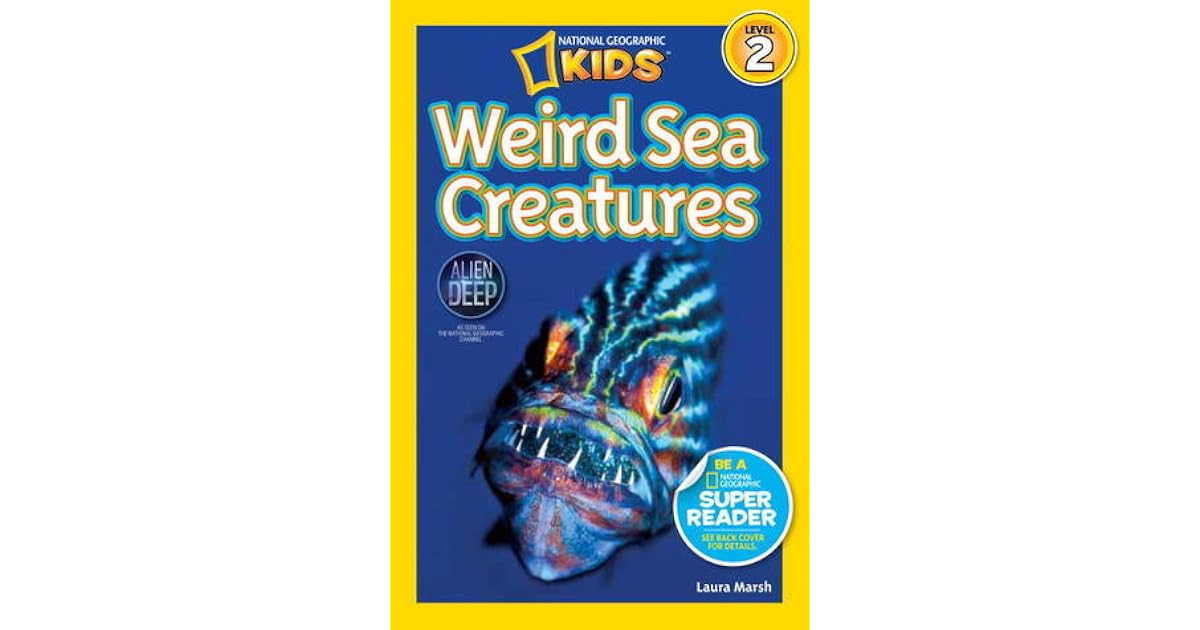 Weird Sea Creatures by Laura Marsh