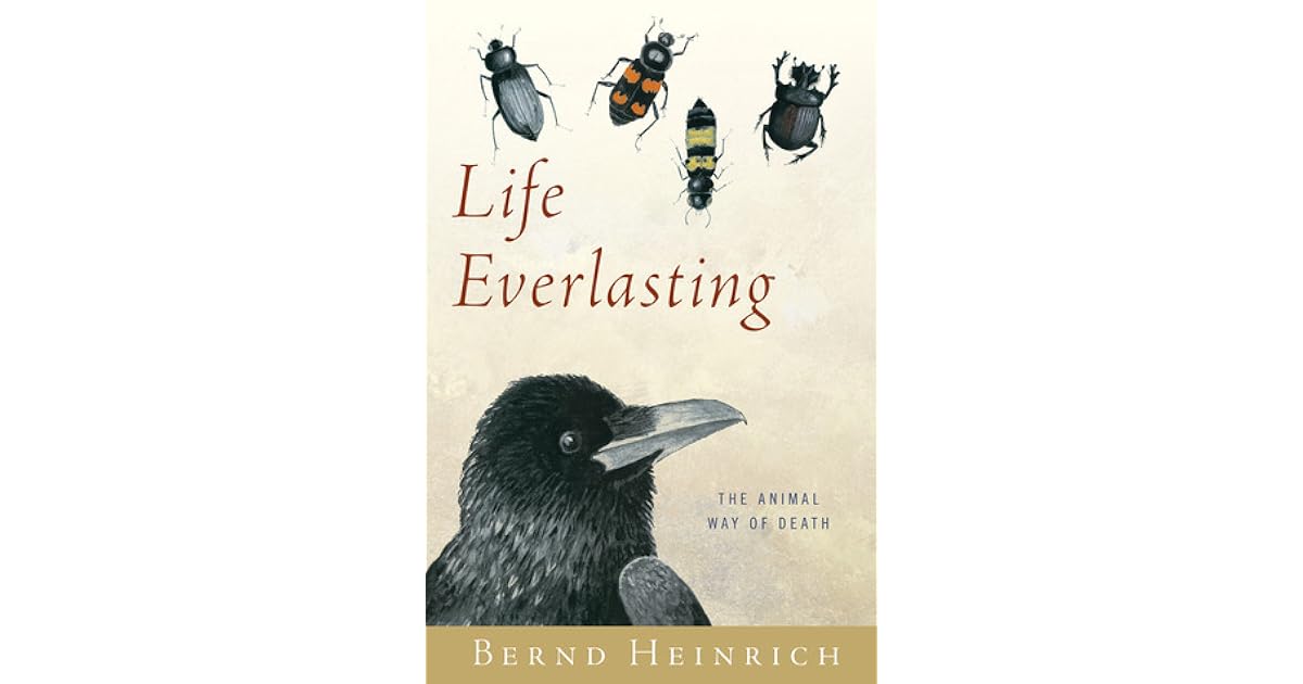 Life Everlasting: The Animal Way of Death by Bernd Heinrich