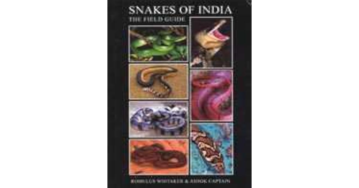 Snakes of India The Field Guide by Romulus Earl Whitaker