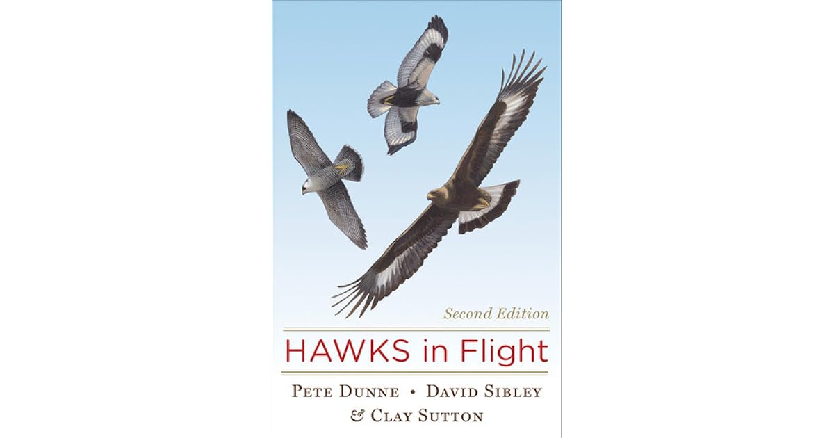 Hawks in Flight: The Flight Identification of North American Raptors by ...