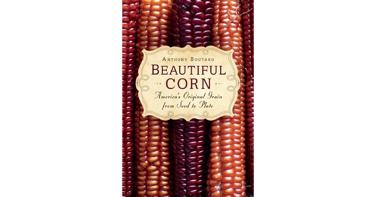 Beautiful Corn: America's Original Grain from Seed to Plate by Anthony ...