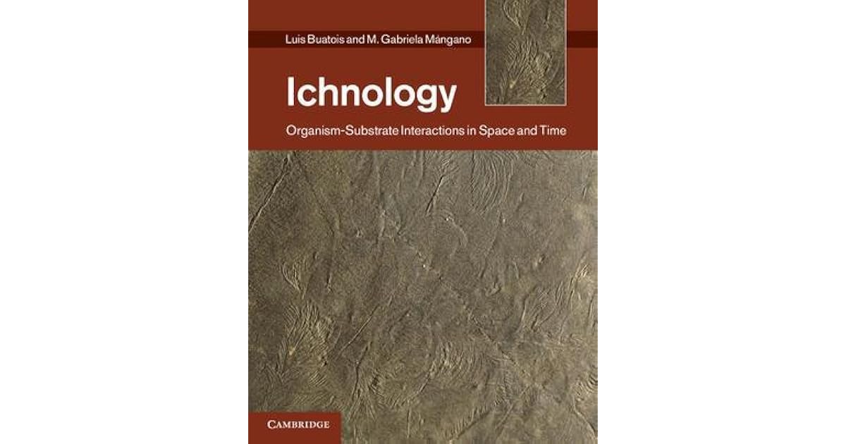 Ichnology: Organism-Substrate Interactions in Space and Time by Luis ...