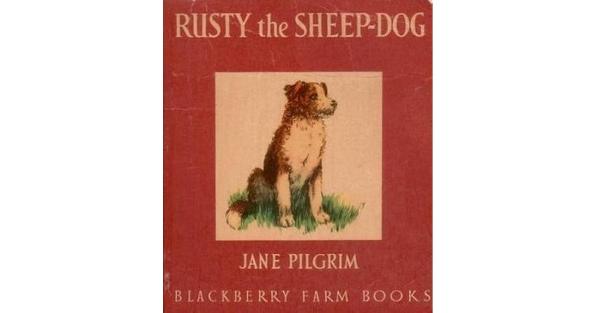 Rusty the Sheepdog by Jane Pilgrim