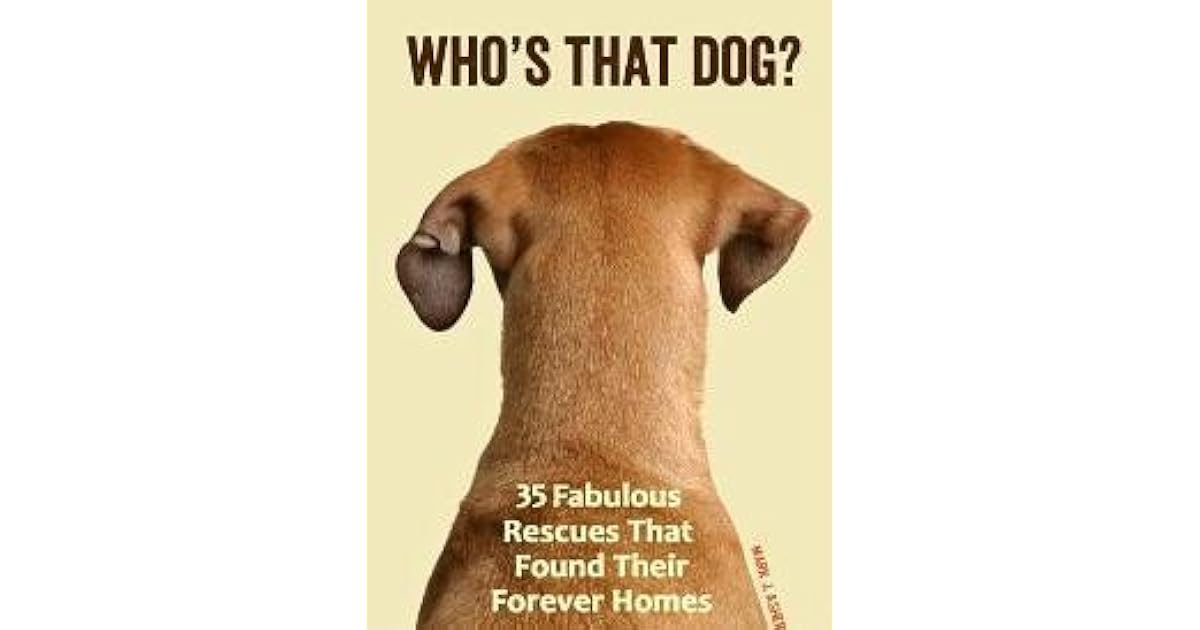 Who's That Dog? 35 Fabulous Rescues That Found Their Forever Homes by ...
