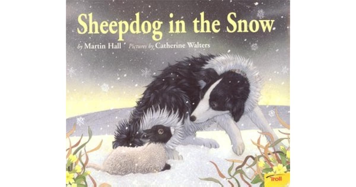 Sheepdog in the Snow by Martin Hall