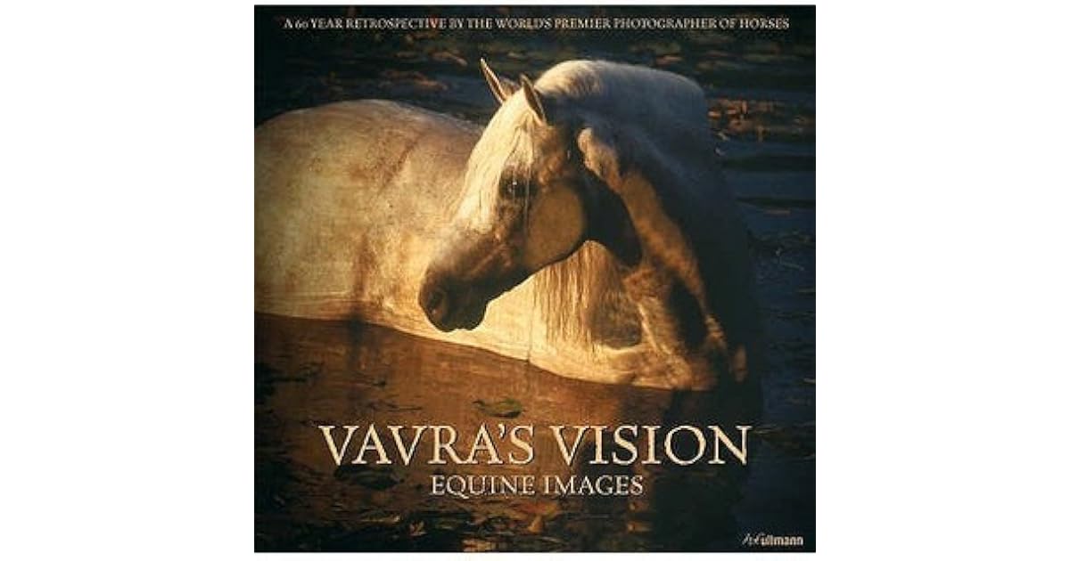 Vavra's Vision by Robert Vavra