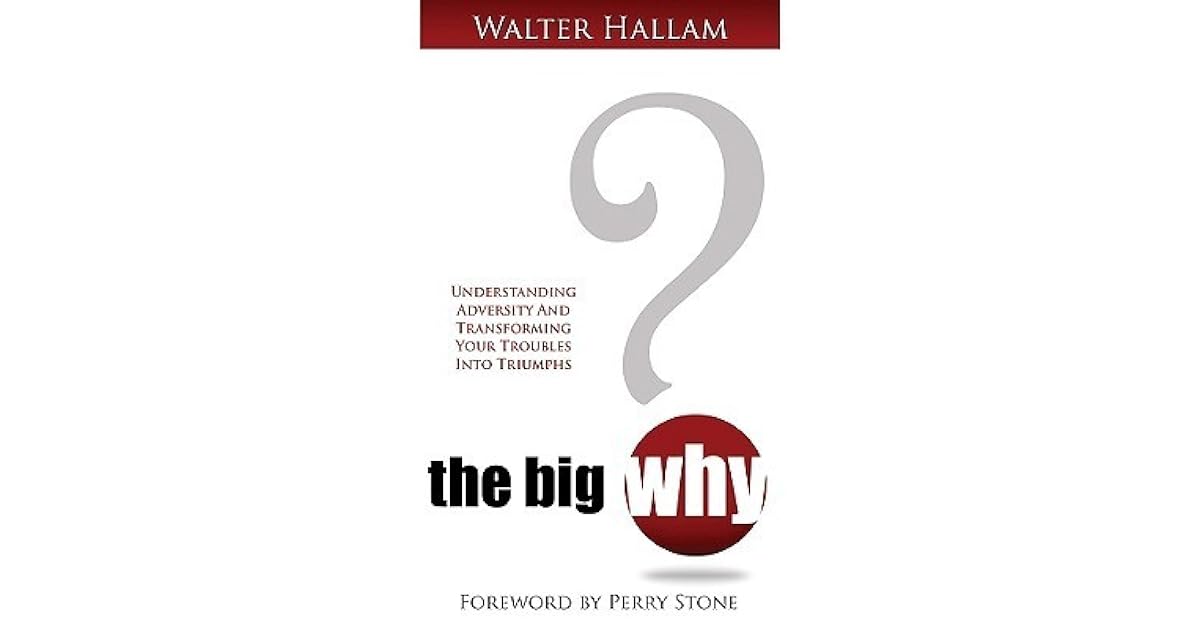 The Big Why?: Understanding Adversity and Transforming Your Troubles ...