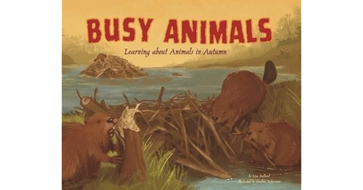 Busy Animals: Learning about Animals in Autumn by Lisa Bullard