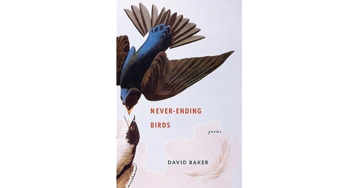Never-Ending Birds: Poems by David Baker