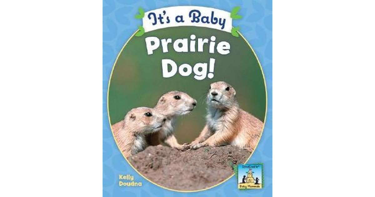 It's a Baby Prairie Dog! by Kelly Doudna