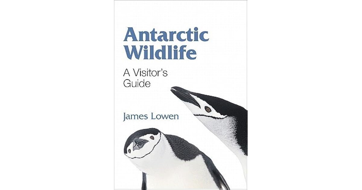 Antarctic Wildlife: A Visitor's Guide by James Lowen