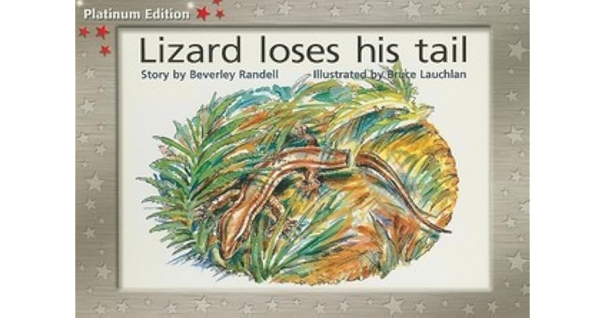 Lizard Loses His Tail by Beverley Randell