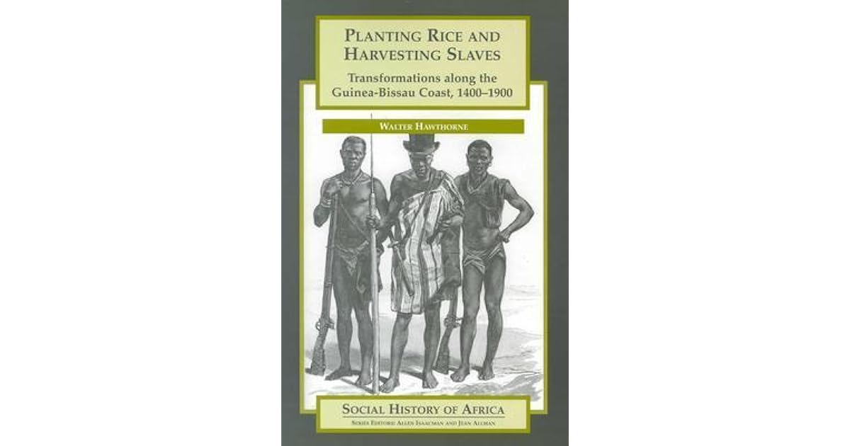 Planting Rice and Harvesting Slaves: Transformations Along the Guinea ...