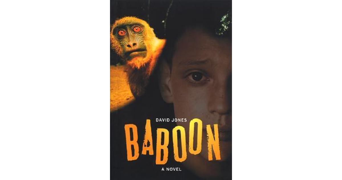 Baboon by David Jones