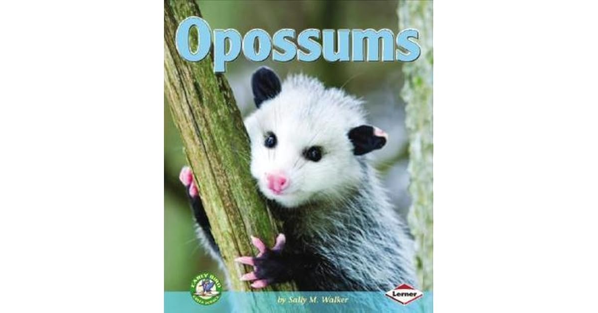 Opossums by Sally M. Walker