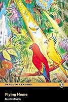 Flying Home by Stephen Rabley