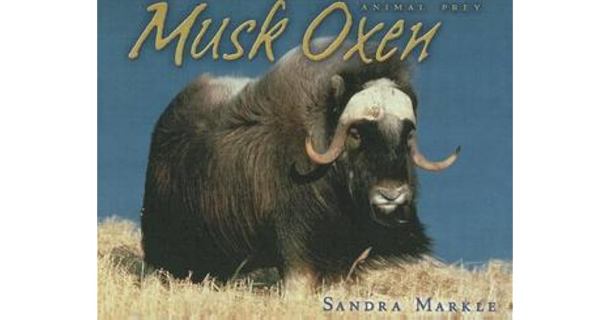 Musk Oxen by Sandra Markle