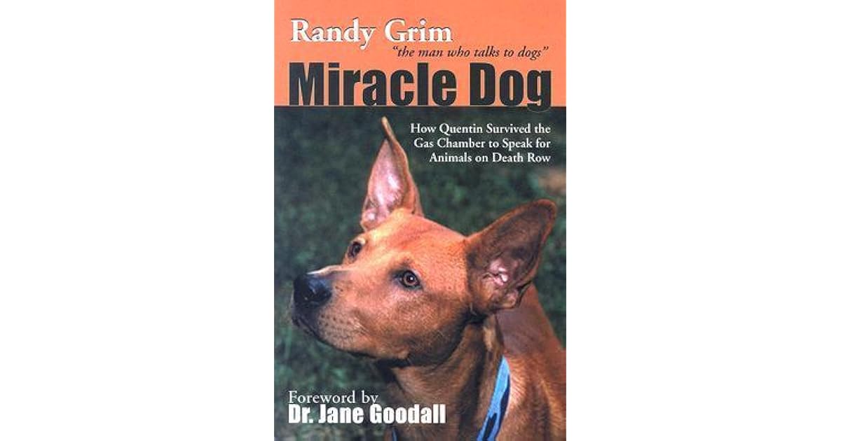Miracle Dog: How Quentin Survived the Gas Chamber to Speak for Animals ...