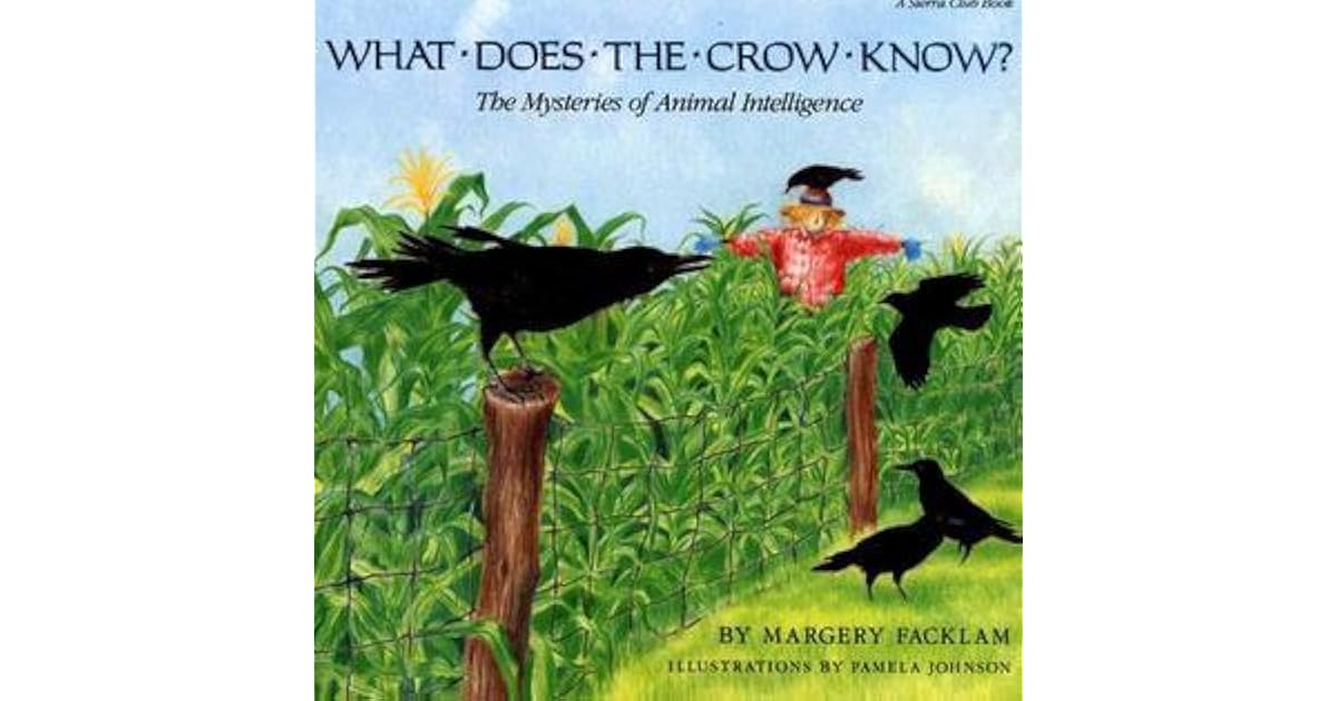 What Does the Crow Know?: The Mysteries of Animal Intelligence by ...