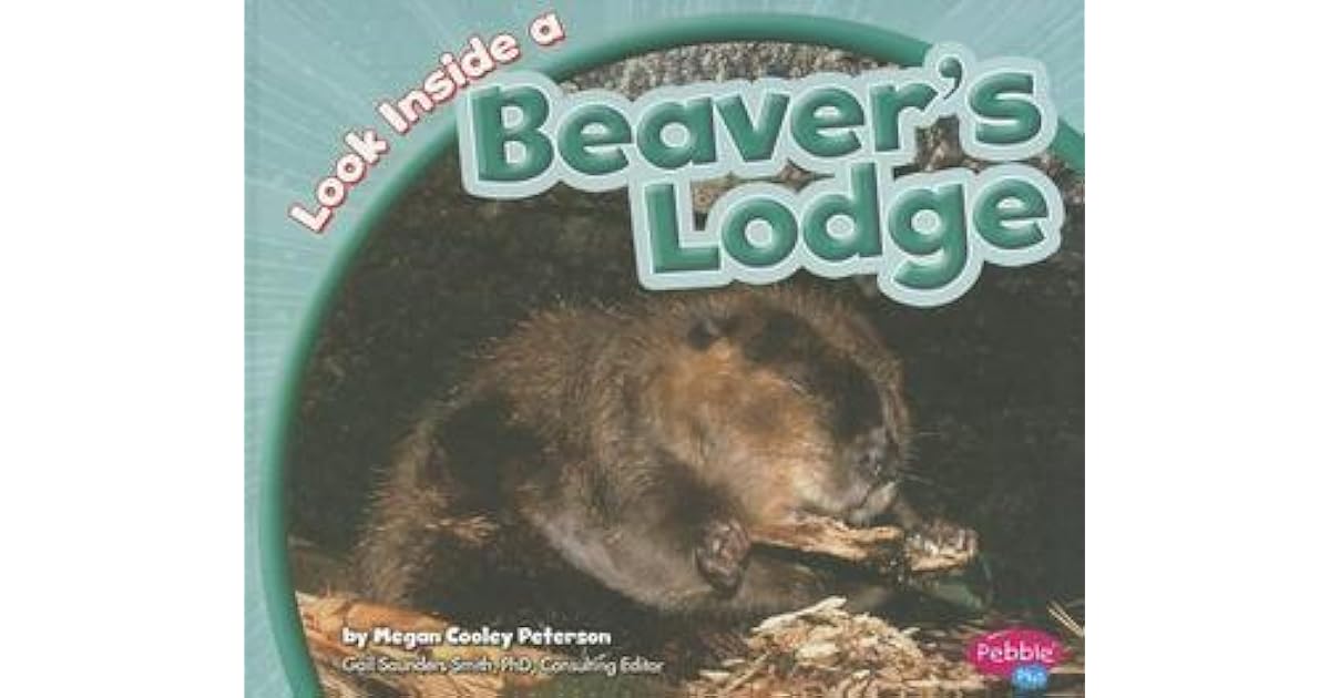 Look Inside a Beaver's Lodge by Megan Cooley Peterson