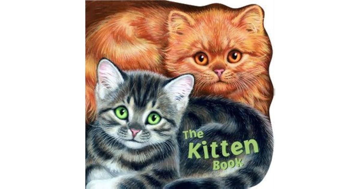 The Kitten Book by Jan Pfloog