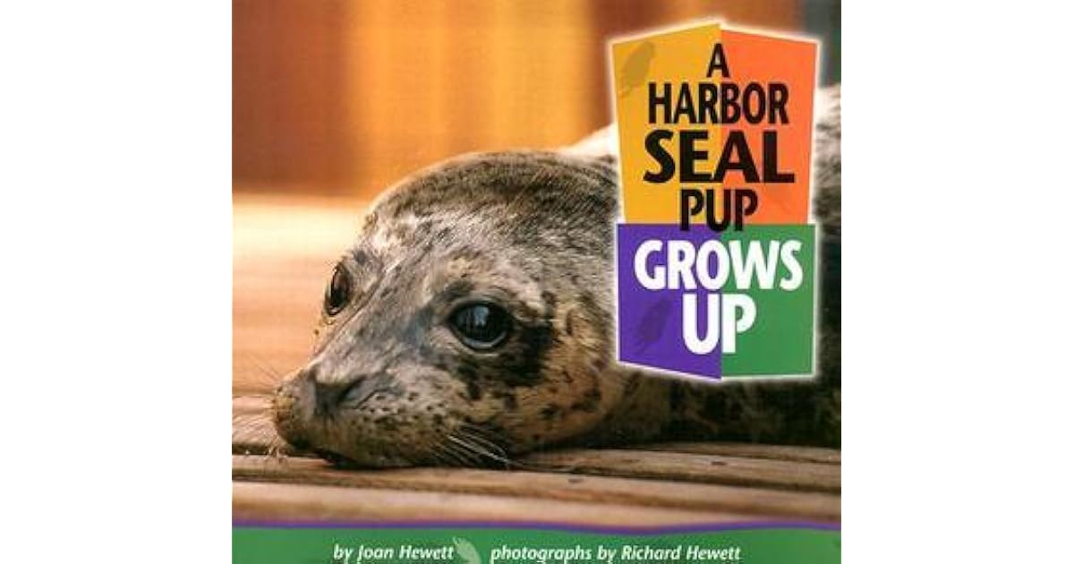 A Harbor Seal Pup Grows Up by Joan Hewett