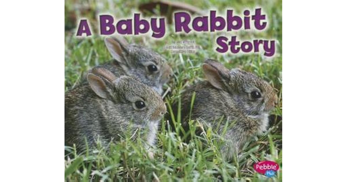 A Baby Rabbit Story by Jeni Wittrock