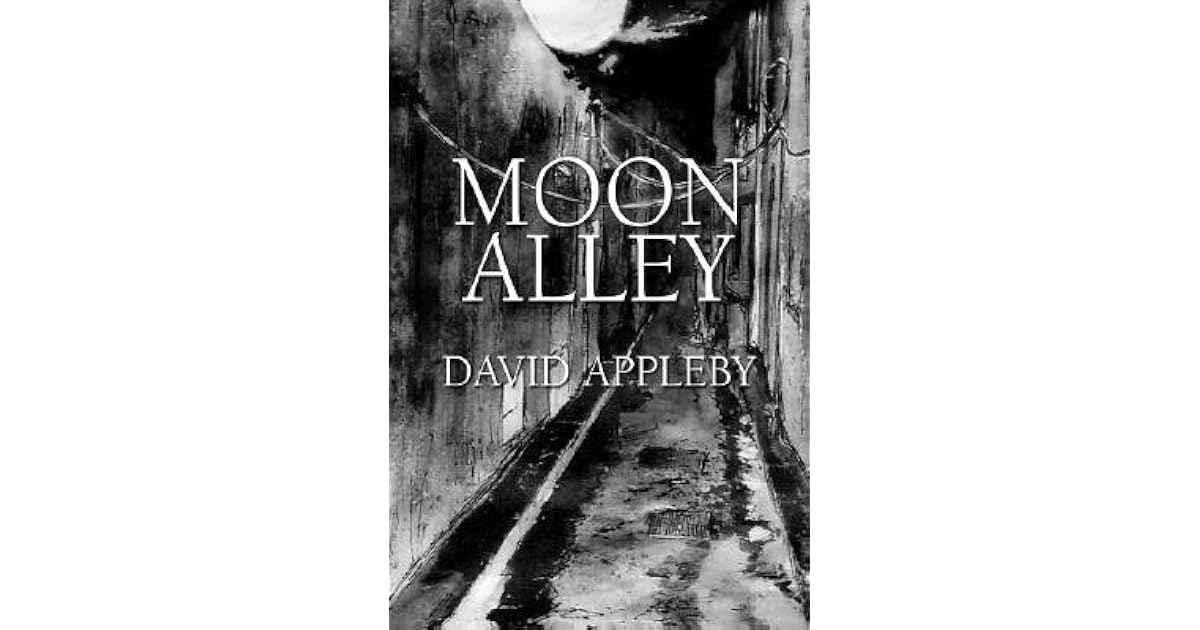 Moon Alley by David Appleby