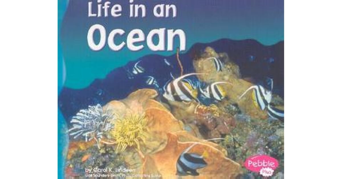 Life in an Ocean by Carol K. Lindeen